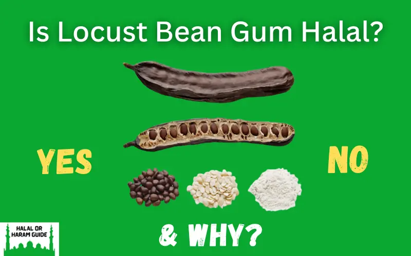 Is Locust Bean Gum Halal Or Haram E410 
